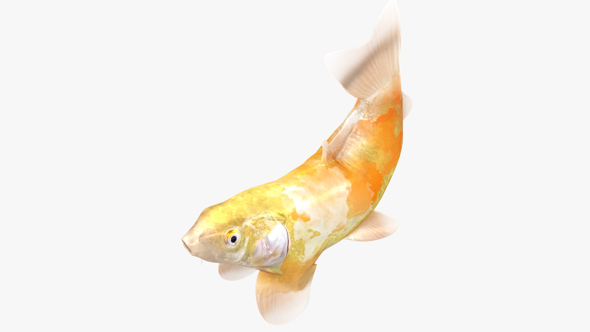 Japanese Carp Fish Rigged L1852 3D Model - TurboSquid 1969292