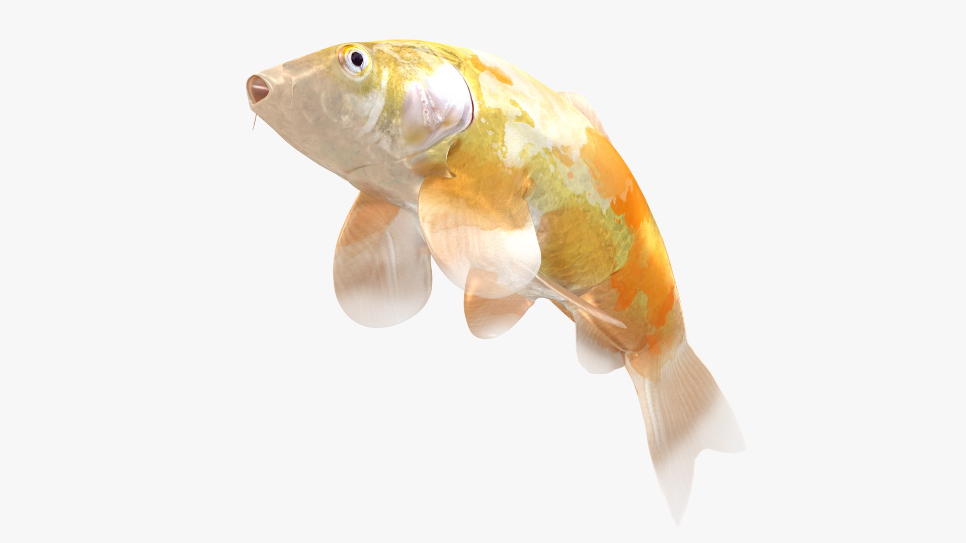 Japanese Carp Fish Rigged L1852 3D Model - TurboSquid 1969292