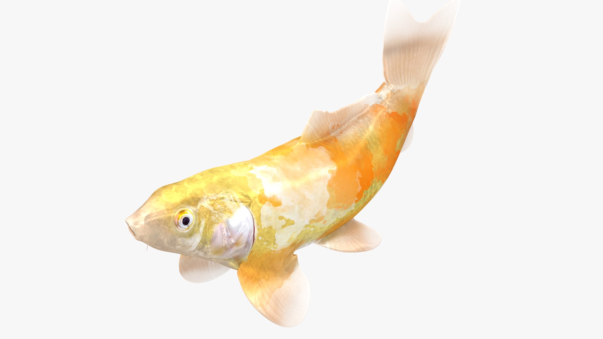 Japanese Carp Fish Rigged L1852 3D Model - TurboSquid 1969292