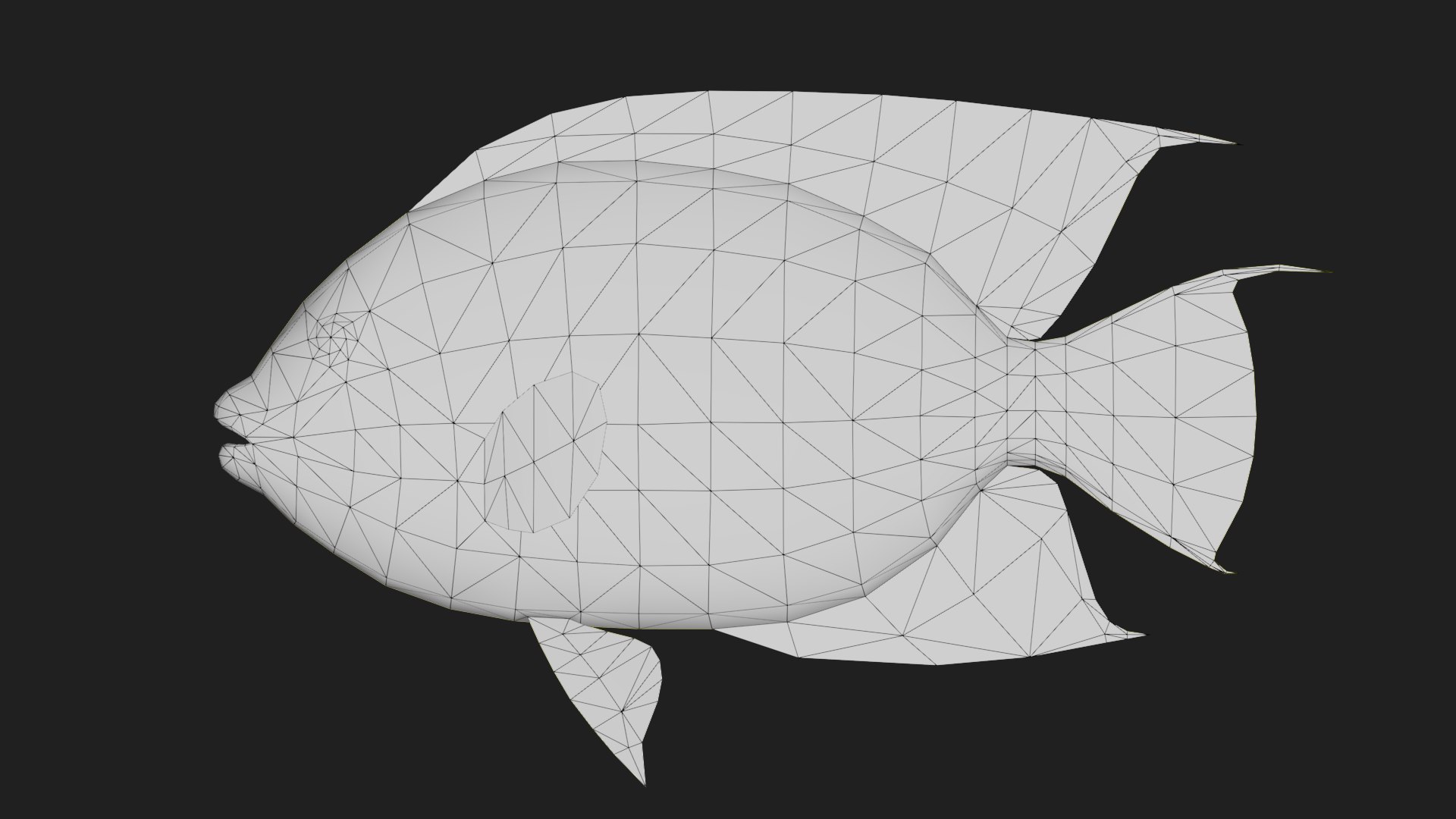 Bass Fish 3D - TurboSquid 2123226