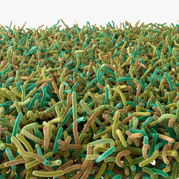 Bacteria 3D Models for Download | TurboSquid
