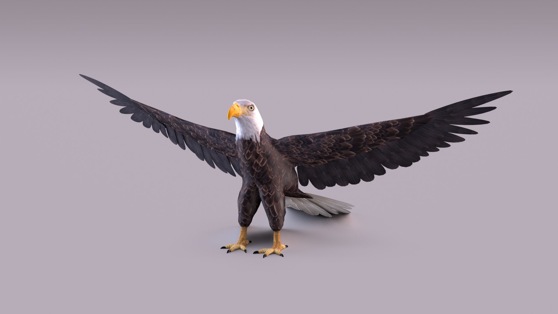 3D Birds - TurboSquid 1881859