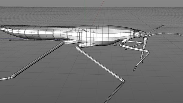 Water skeeter 3D model - TurboSquid 1690078