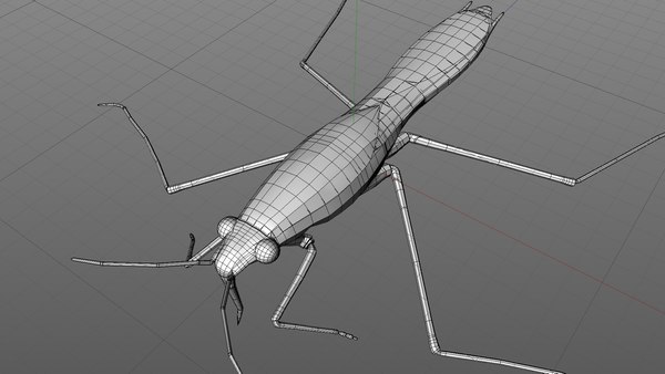 Water skeeter 3D model - TurboSquid 1690078