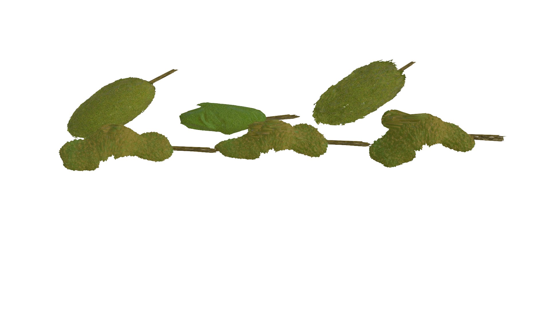 Marijuana 3D Model - TurboSquid 2206650