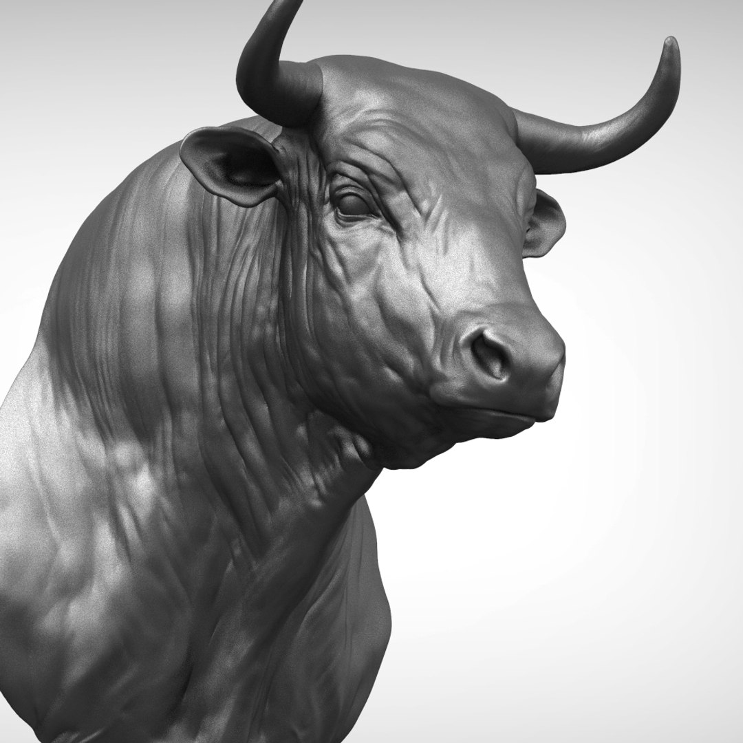 3D bull head model - TurboSquid 1424131