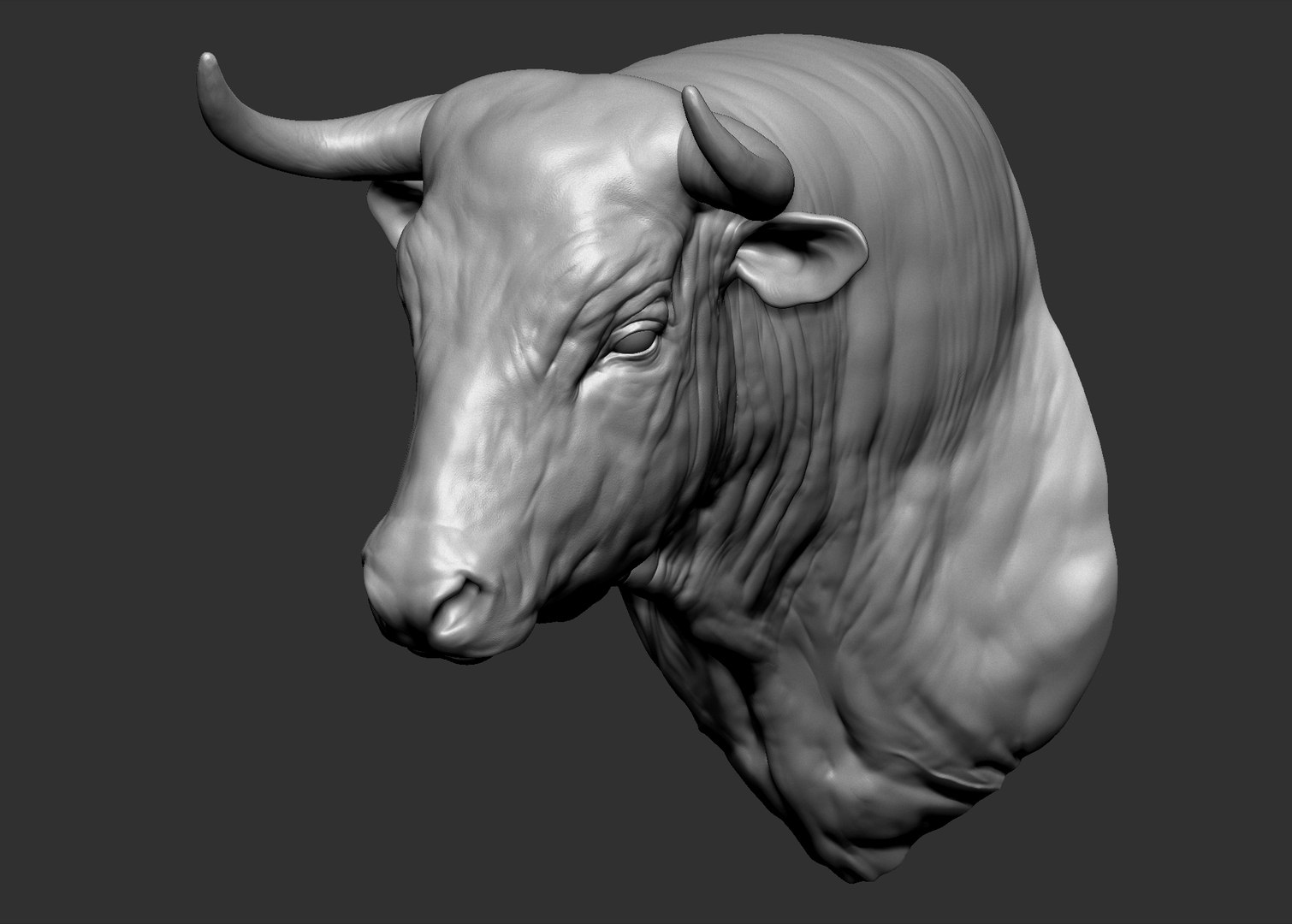3D bull head model - TurboSquid 1424131