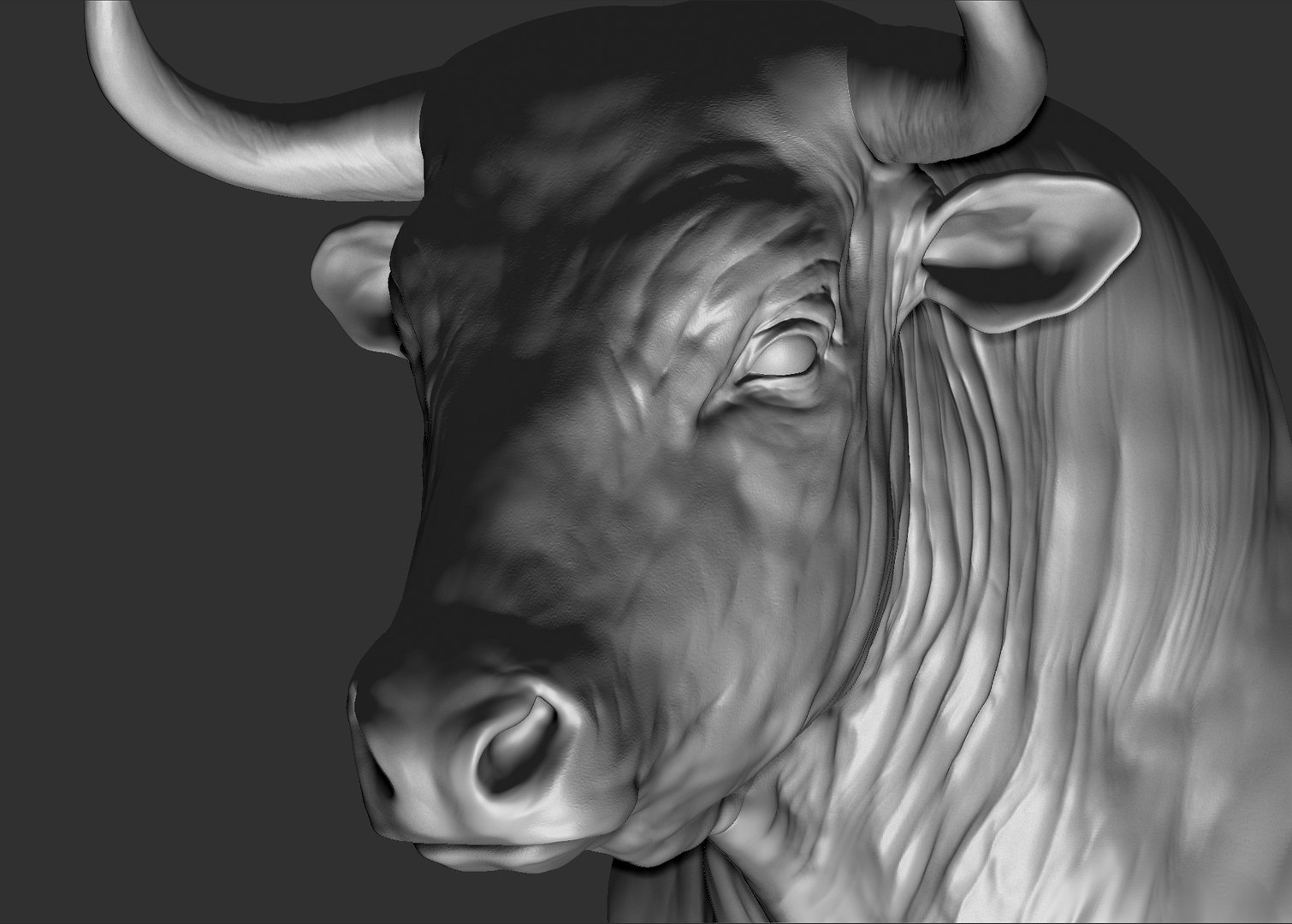3D bull head model - TurboSquid 1424131