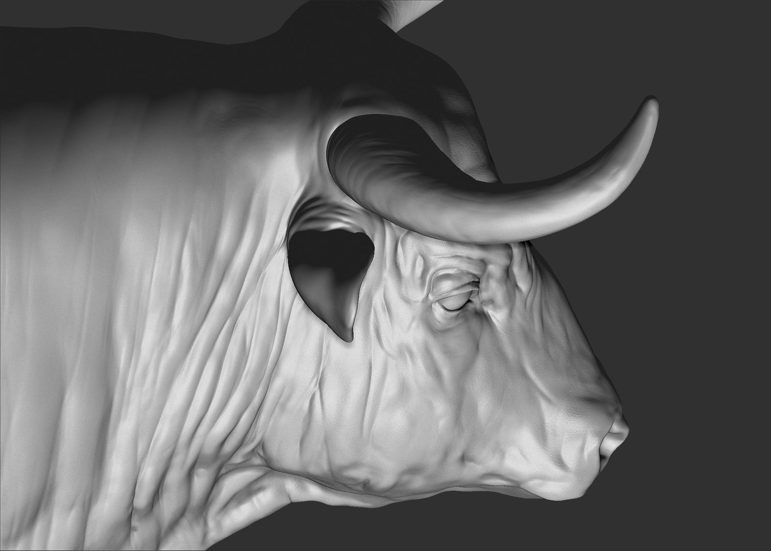 3D bull head model - TurboSquid 1424131