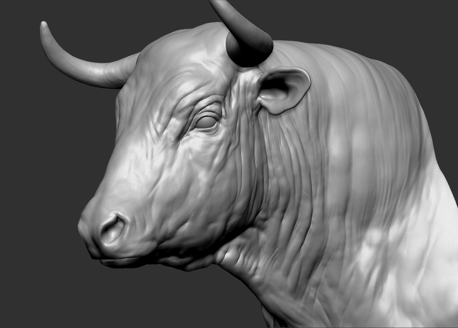 3D bull head model - TurboSquid 1424131