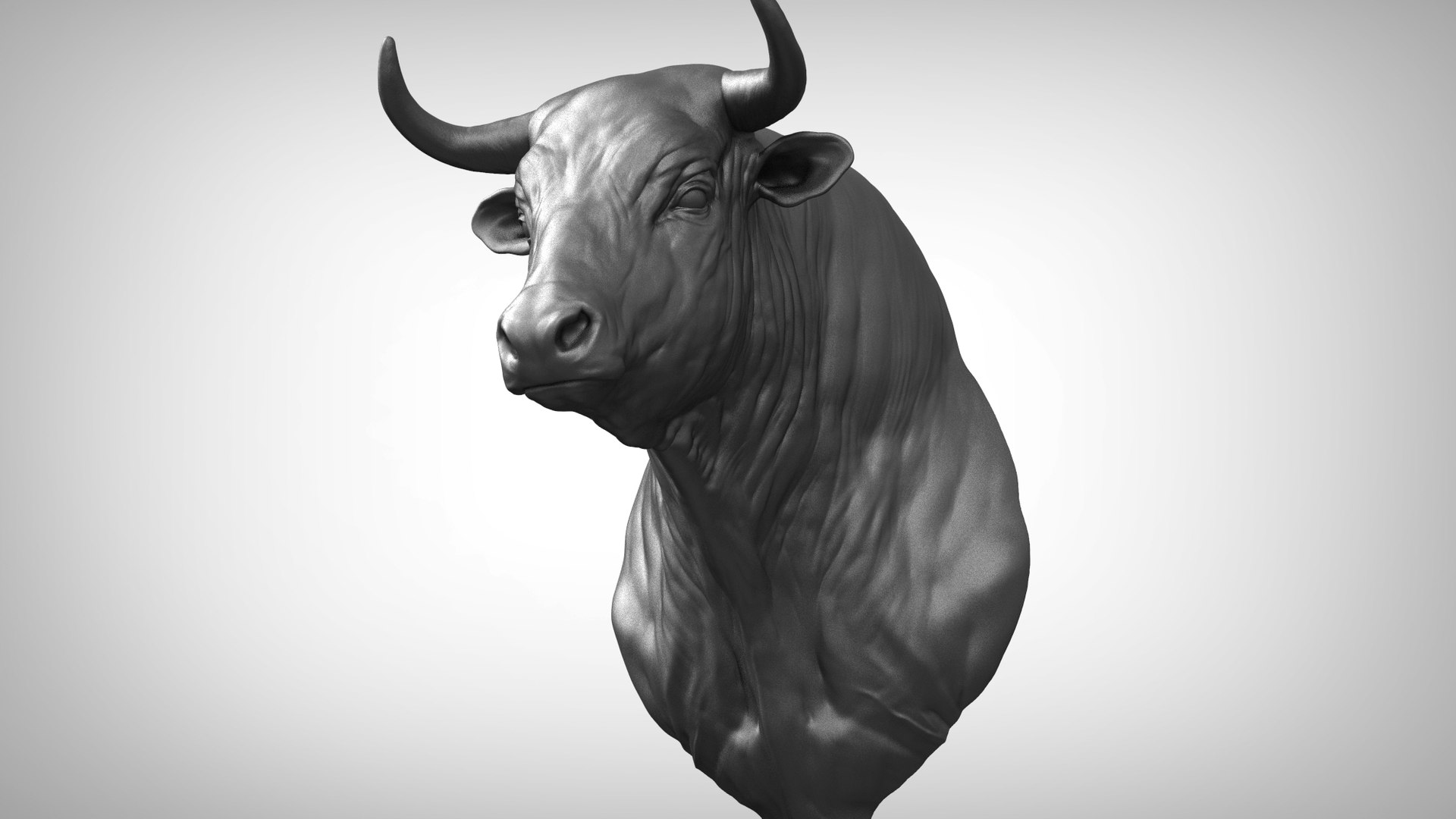 3D bull head model - TurboSquid 1424131