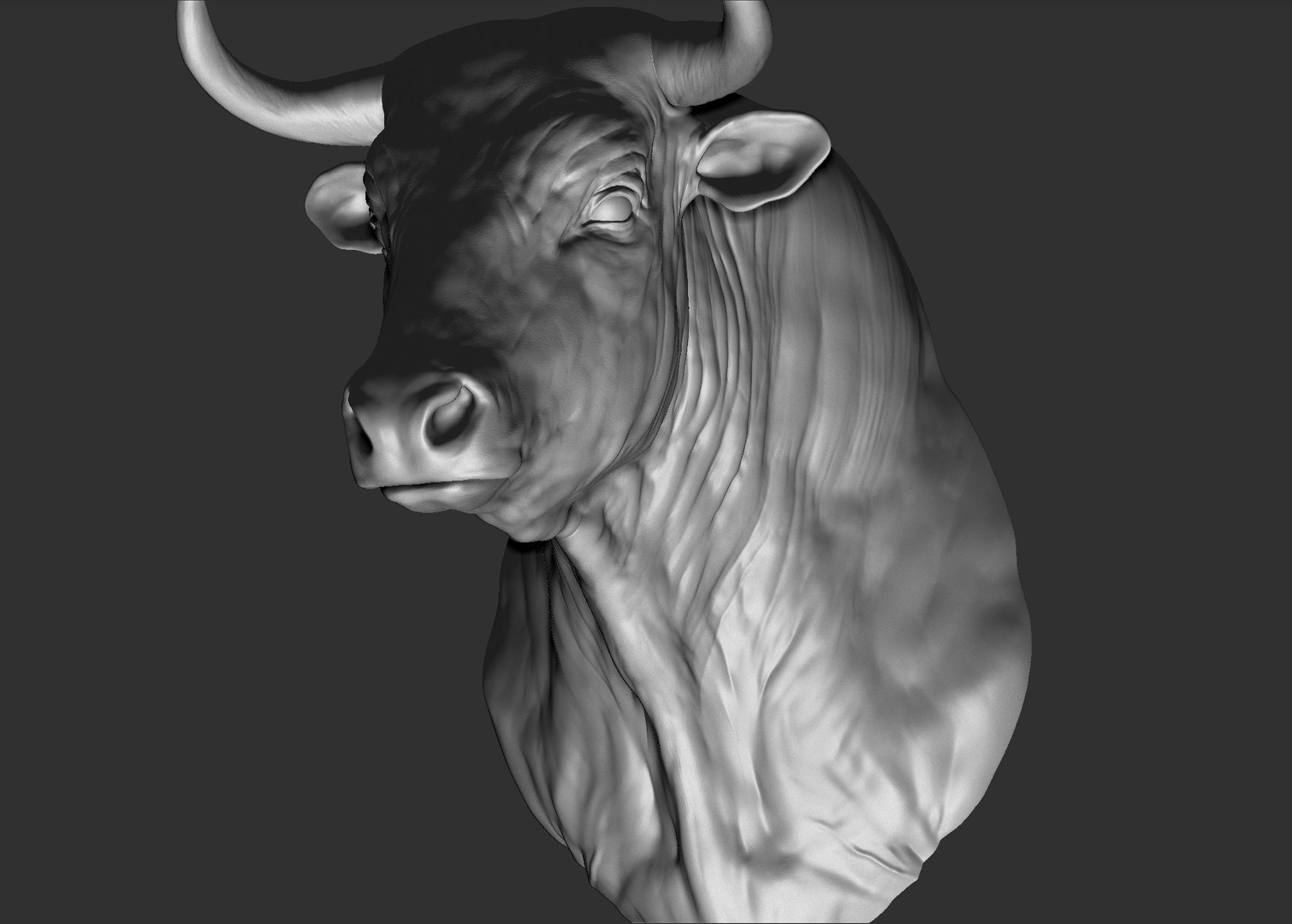 3D bull head model - TurboSquid 1424131