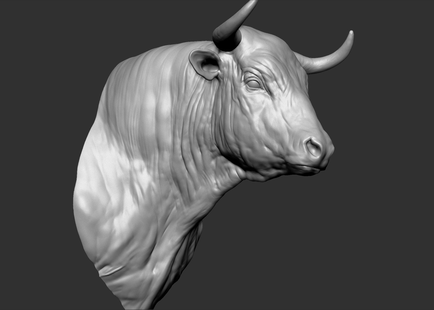 3D bull head model - TurboSquid 1424131
