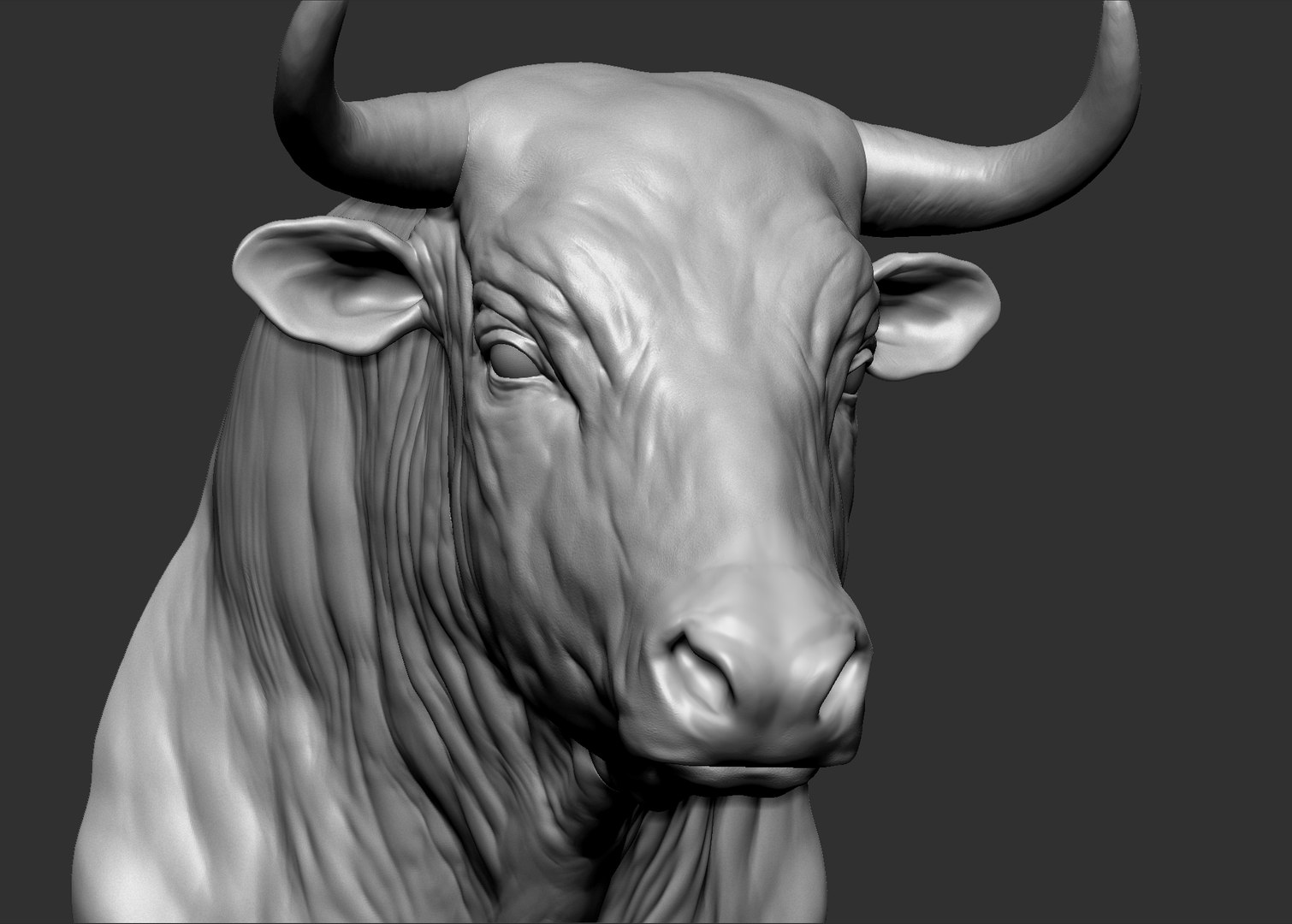 3D bull head model - TurboSquid 1424131