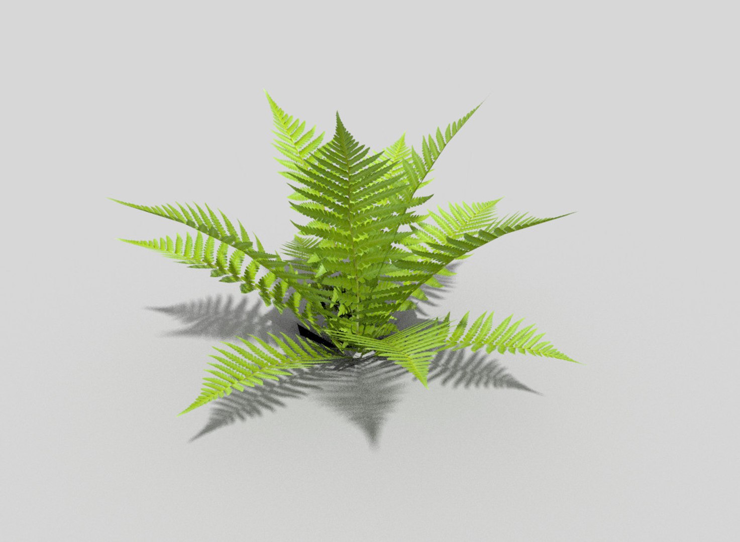 fern games 3d model