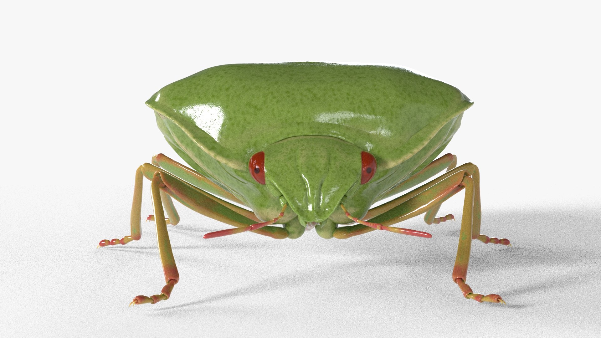 4k Stink Bug 3D Model - TurboSquid 2214159