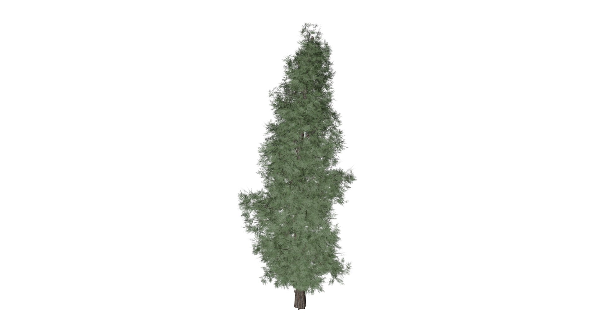 3D Model Eastern Red Cedar Tree Collection - TurboSquid 2378775