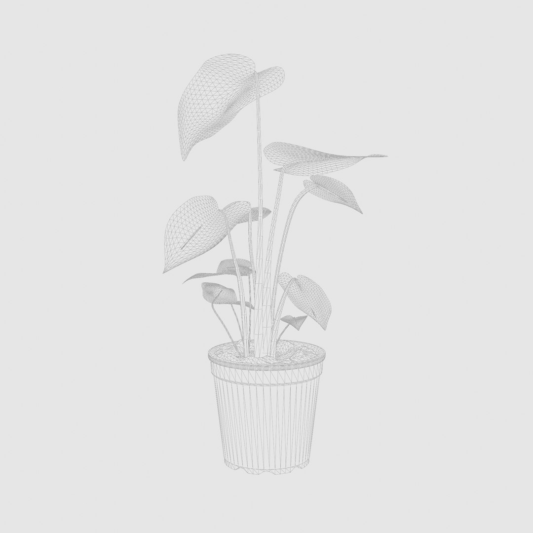3D Monstera Deliciosa Model - TurboSquid 2252263