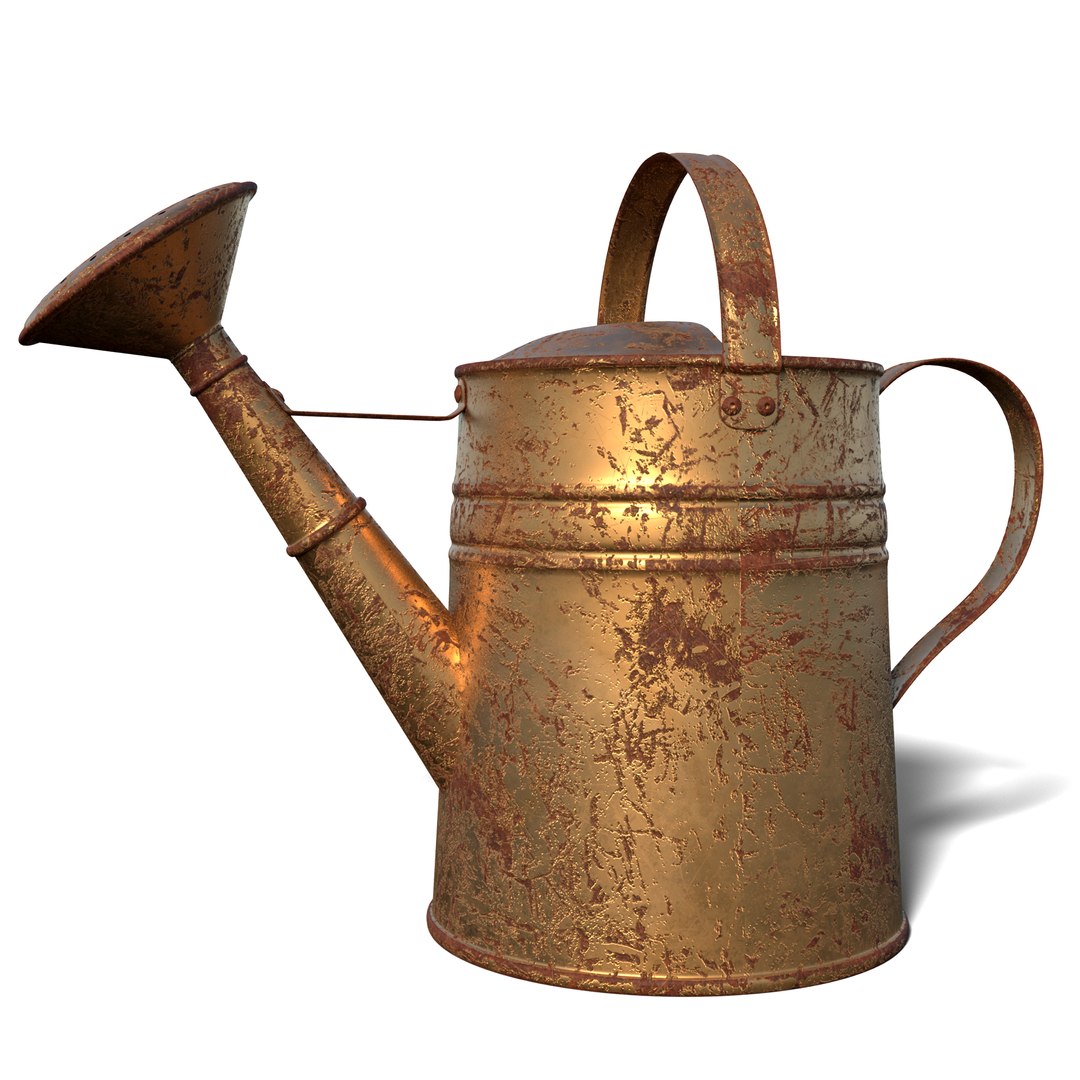 3D Flower Watering Can Rusty Model - TurboSquid 2088924