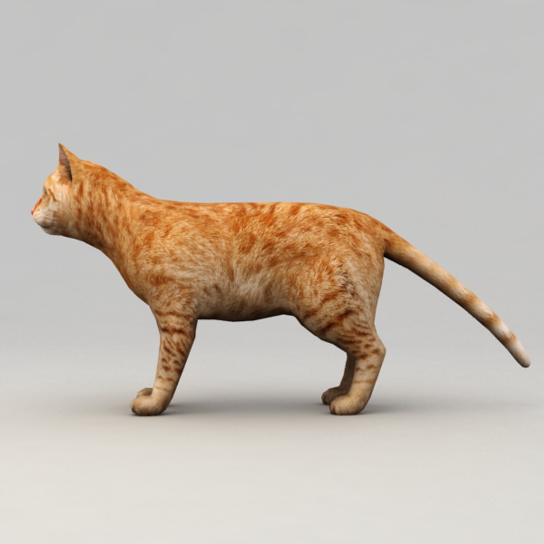 3dsmax Rigged Red Cat