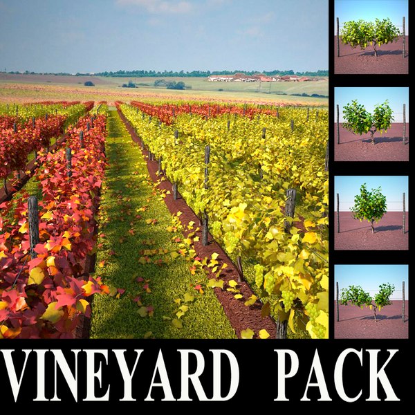 3d model pack vineyard