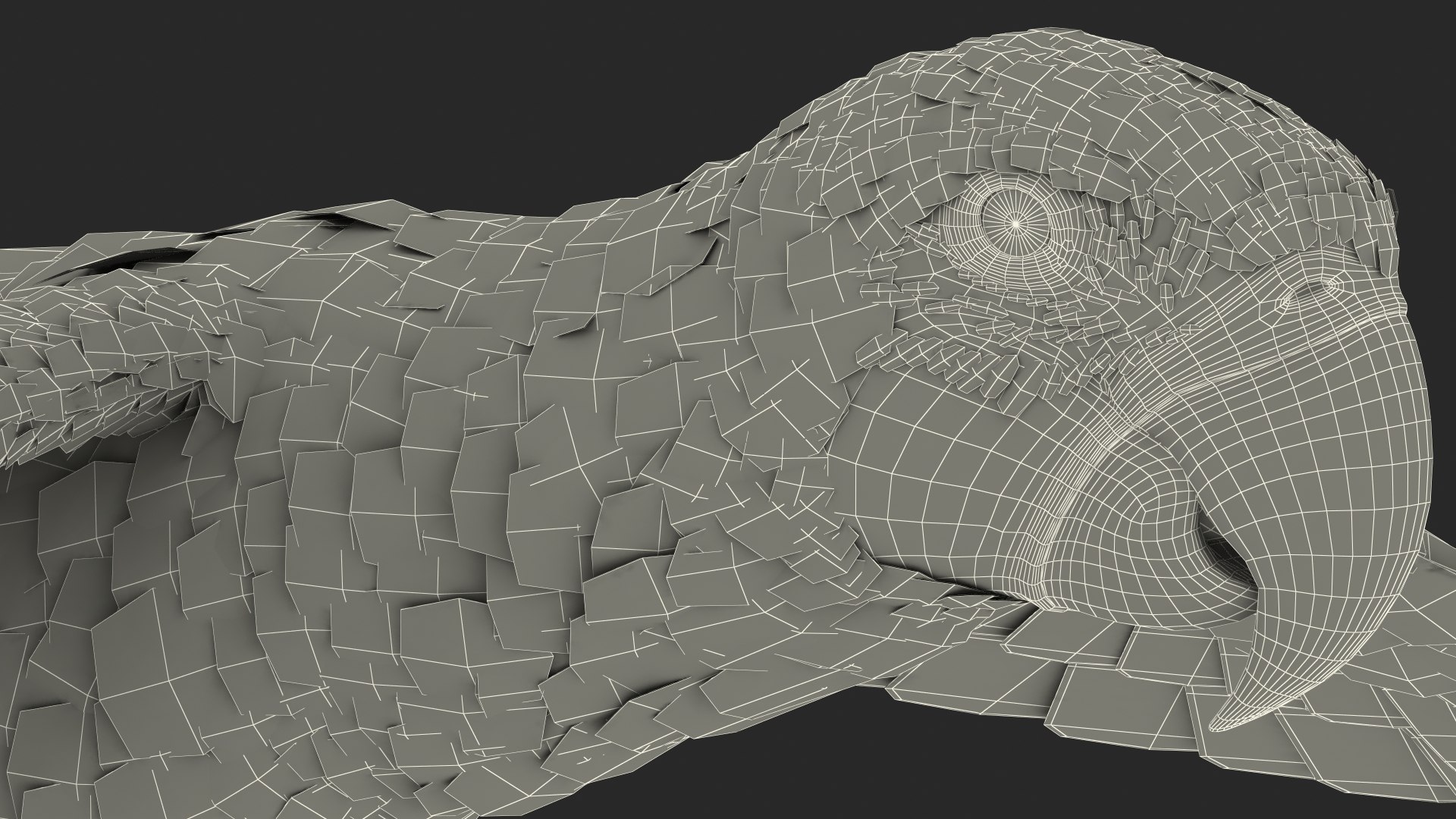 Blue And Yellow Macaw Parrot Flight Pose Model - TurboSquid 1772741