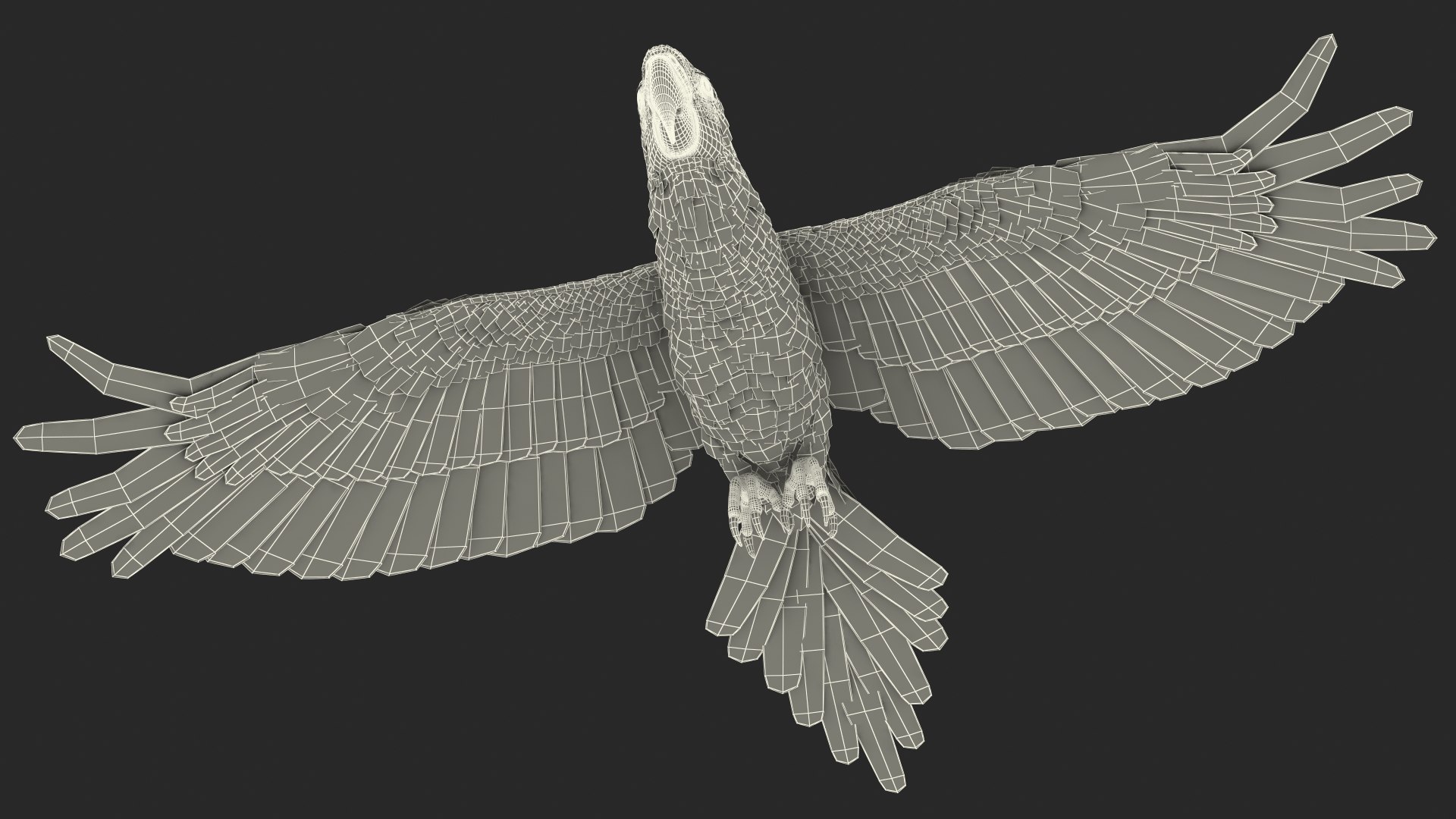 Blue And Yellow Macaw Parrot Flight Pose Model - TurboSquid 1772741