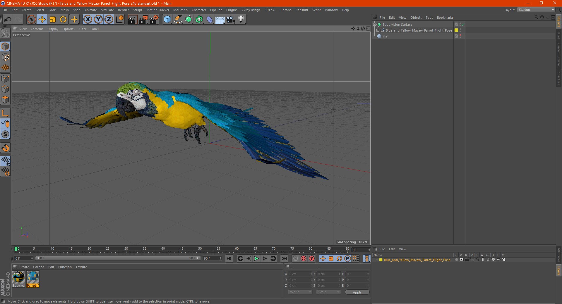 Blue And Yellow Macaw Parrot Flight Pose Model - TurboSquid 1772741