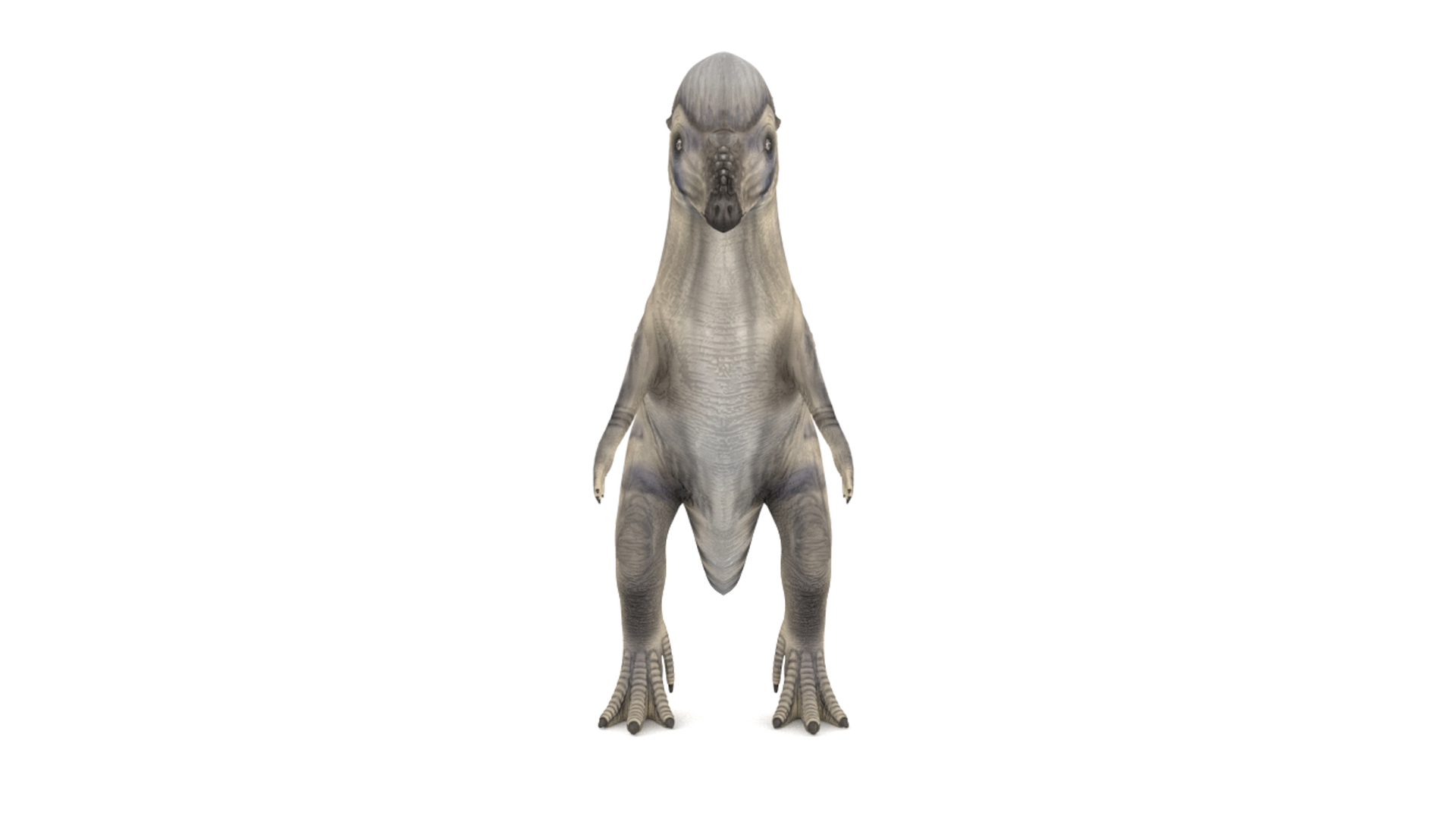 Pachycephalosaurus Rigged Animation 3D - TurboSquid 1507837