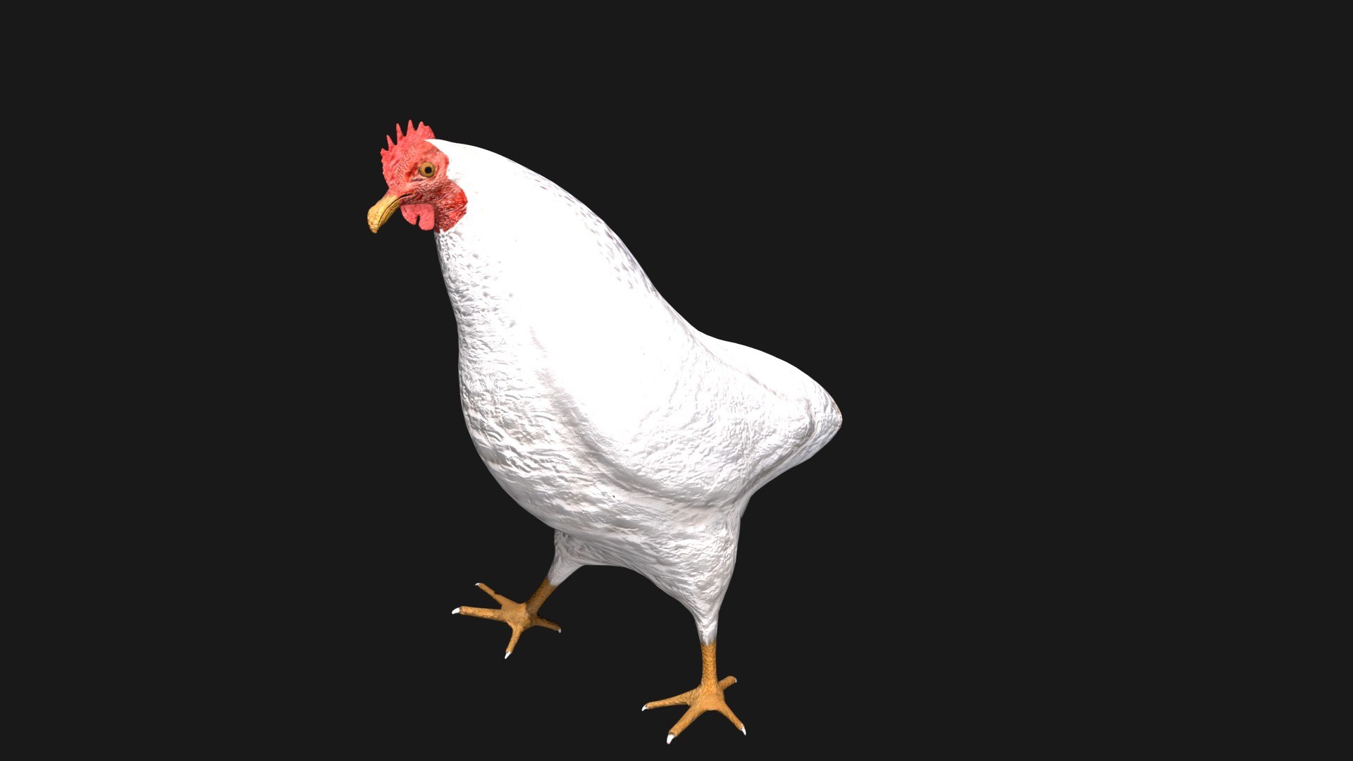 3D Chicken Rigged Model - TurboSquid 1664745