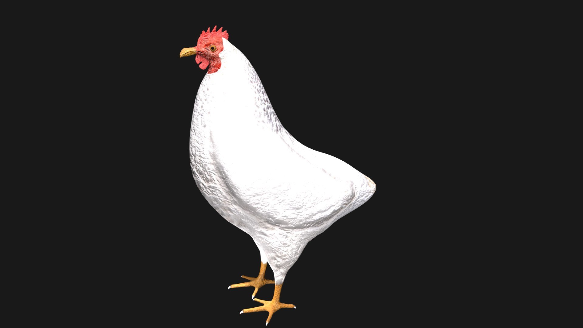 3D Chicken Rigged Model - TurboSquid 1664745