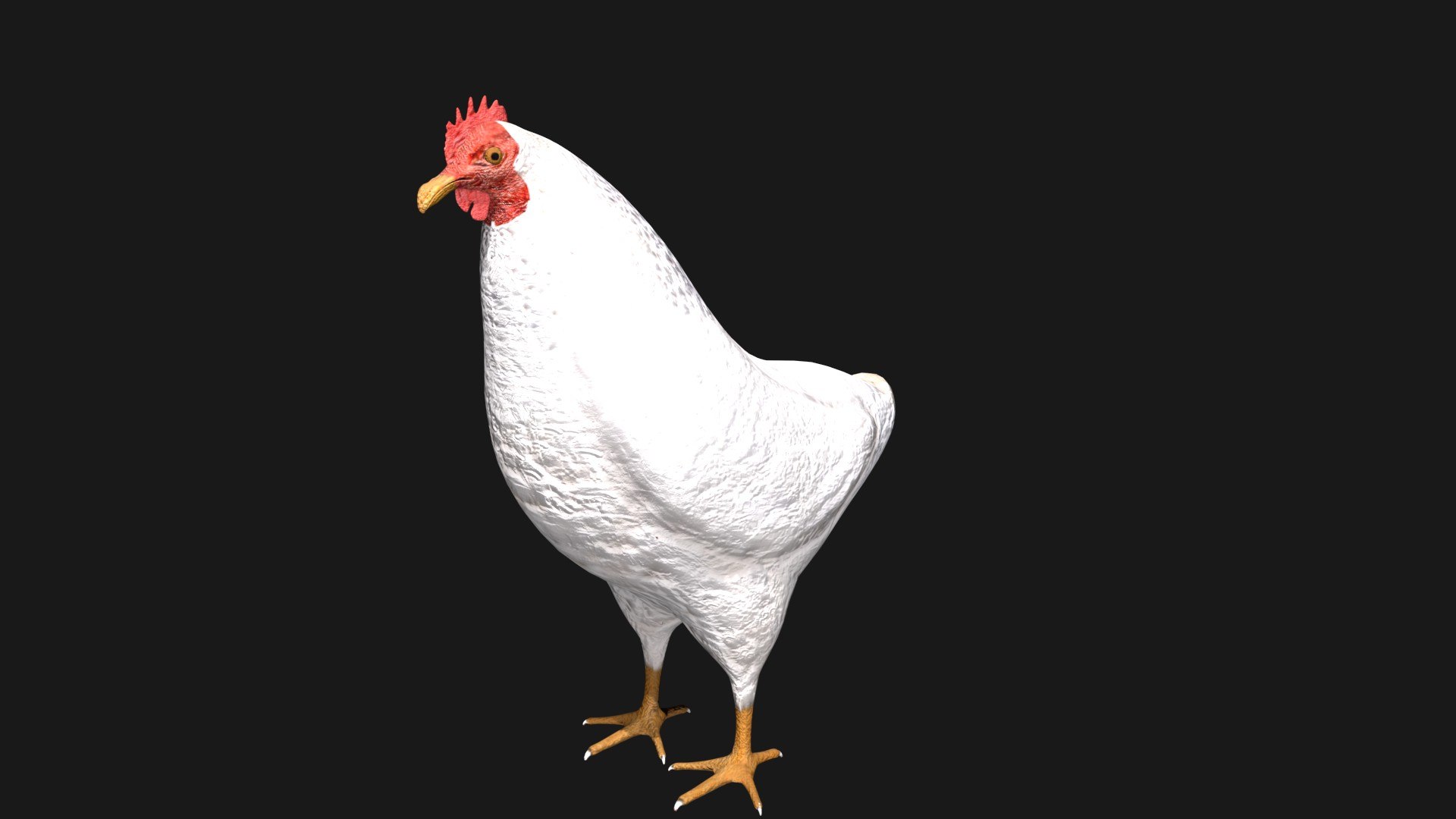 3D Chicken Rigged Model - TurboSquid 1664745