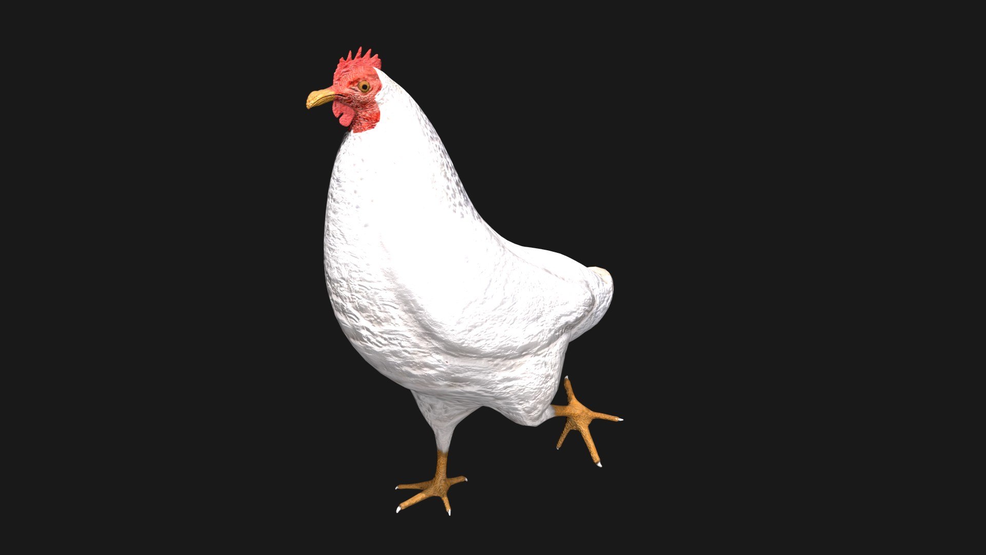 3D Chicken Rigged Model - TurboSquid 1664745