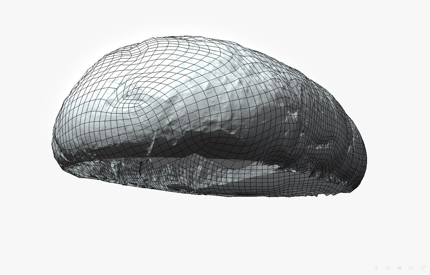 3D Bread Scan Pbr Model - TurboSquid 1567364