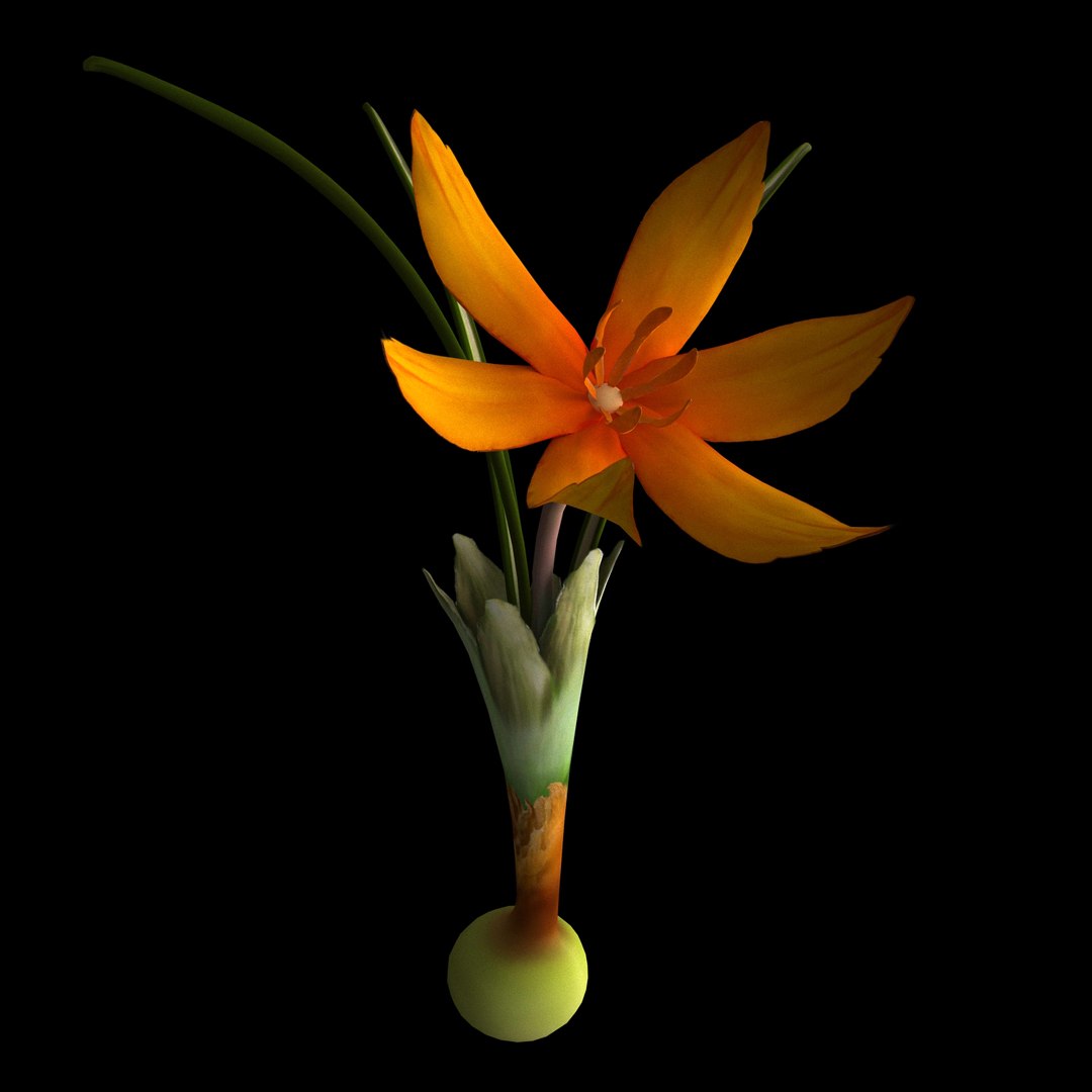 Flowers Open Animation 3D - TurboSquid 1588173