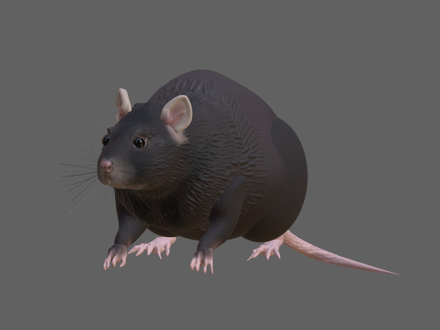 Rat 3D - TurboSquid 2117396