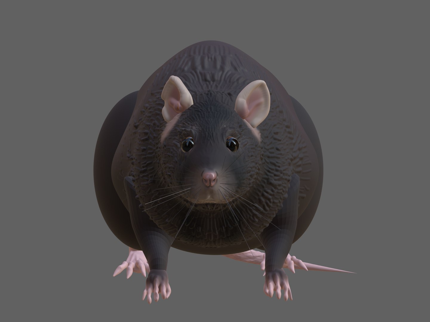 Rat 3D - TurboSquid 2117396