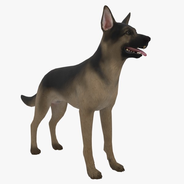 modelo 3d Pastor - TurboSquid 2401832