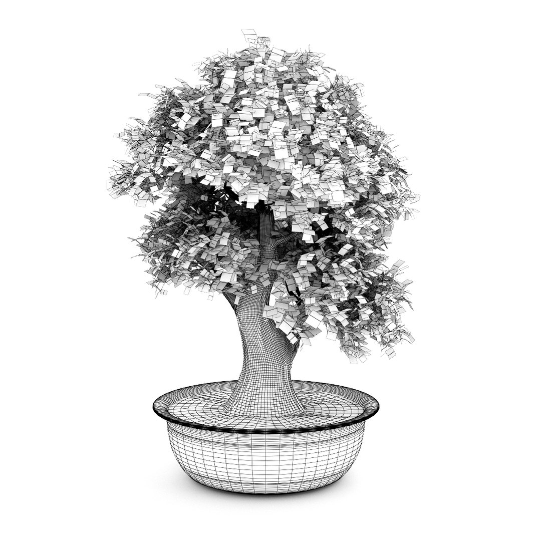 bonsai tree 3d max