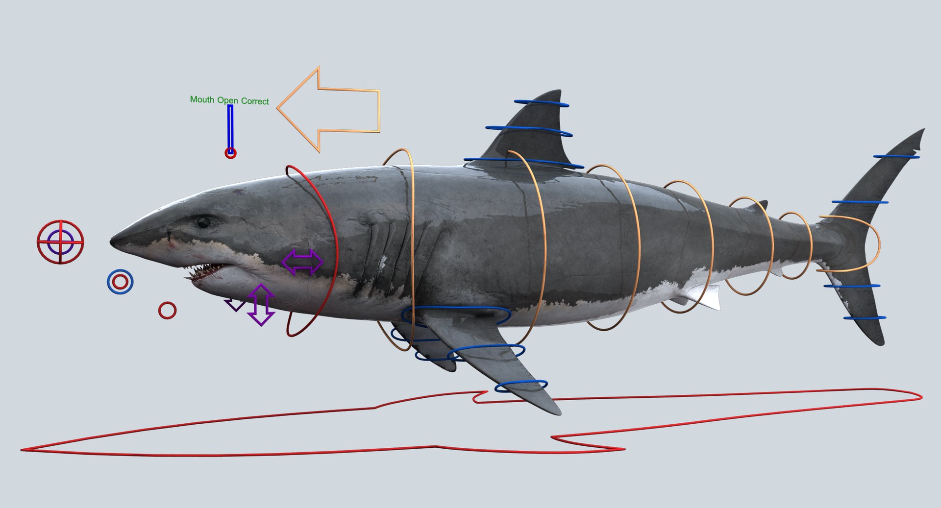 3d model shark rigged white