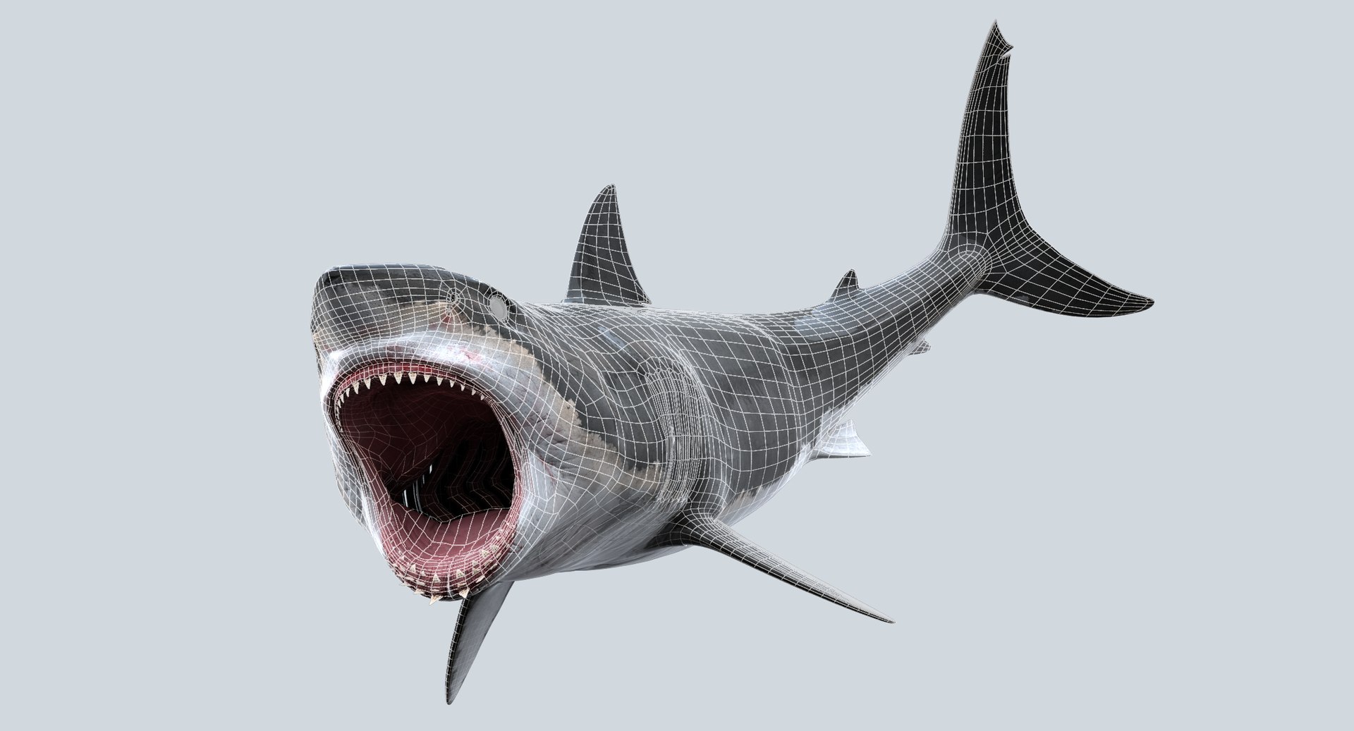 3d Model Shark Rigged White