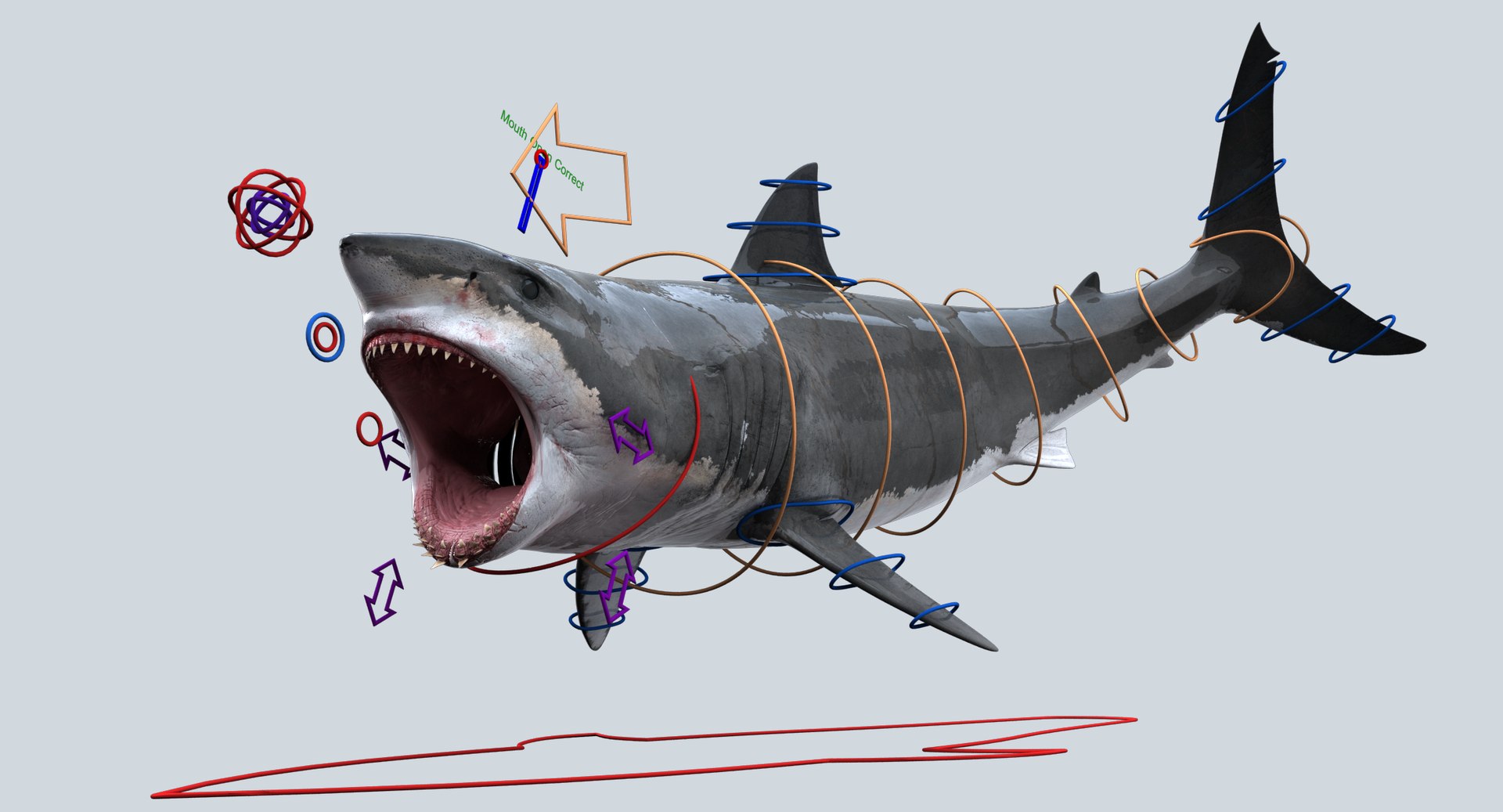 3d model shark rigged white