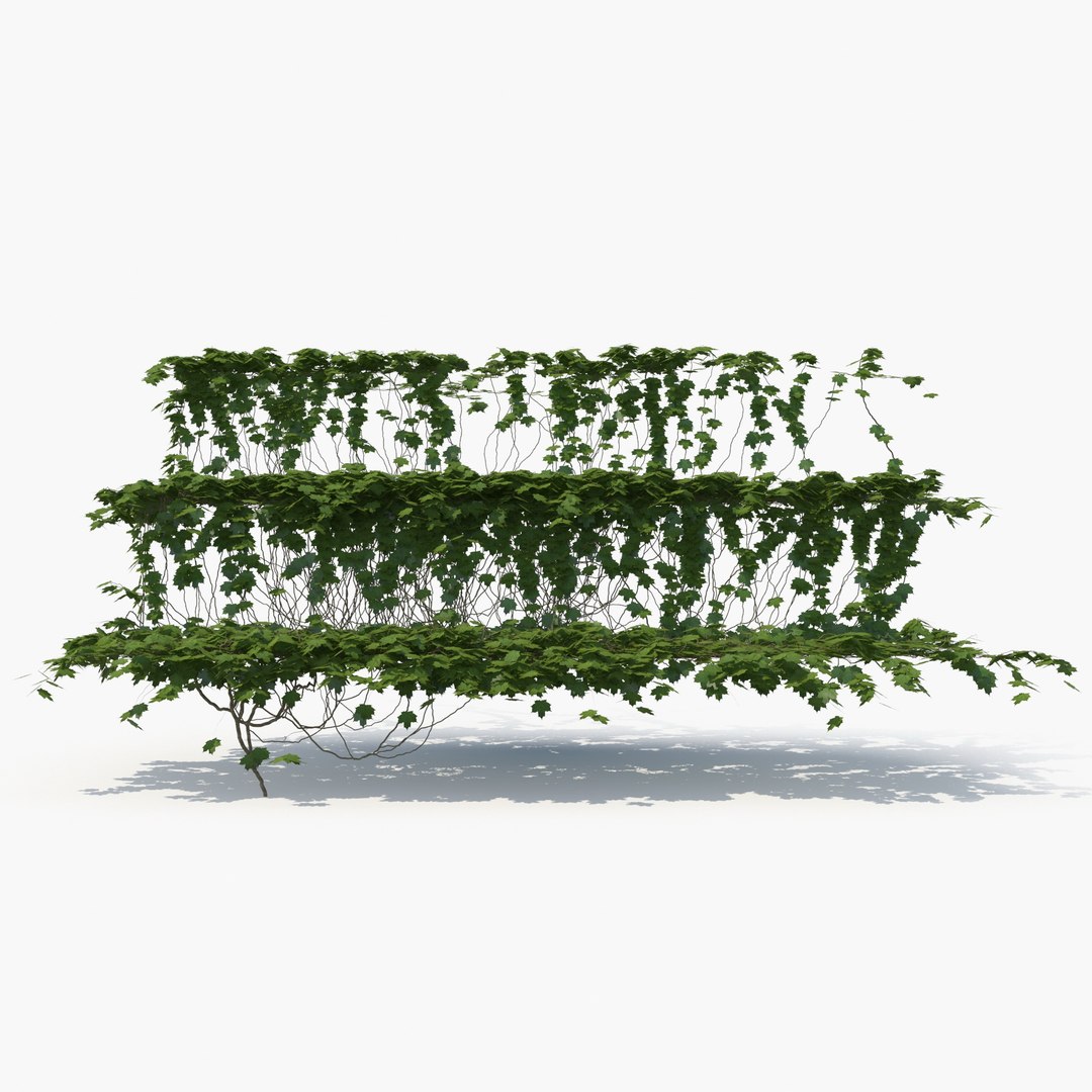 3D Realistic Ivy Stairs - TurboSquid 1151672