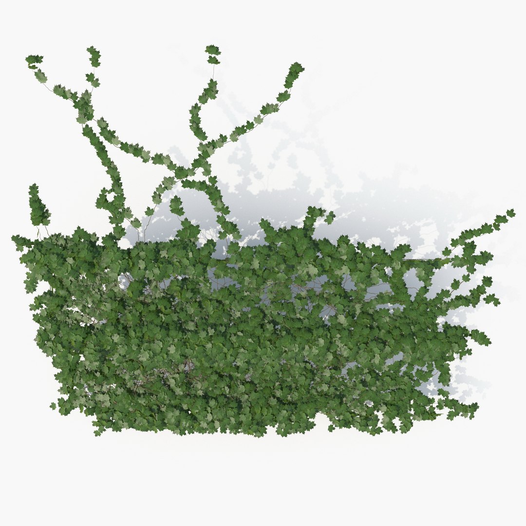 3D Realistic Ivy Stairs - TurboSquid 1151672