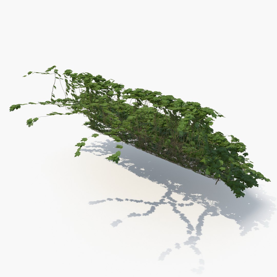 3D Realistic Ivy Stairs - TurboSquid 1151672