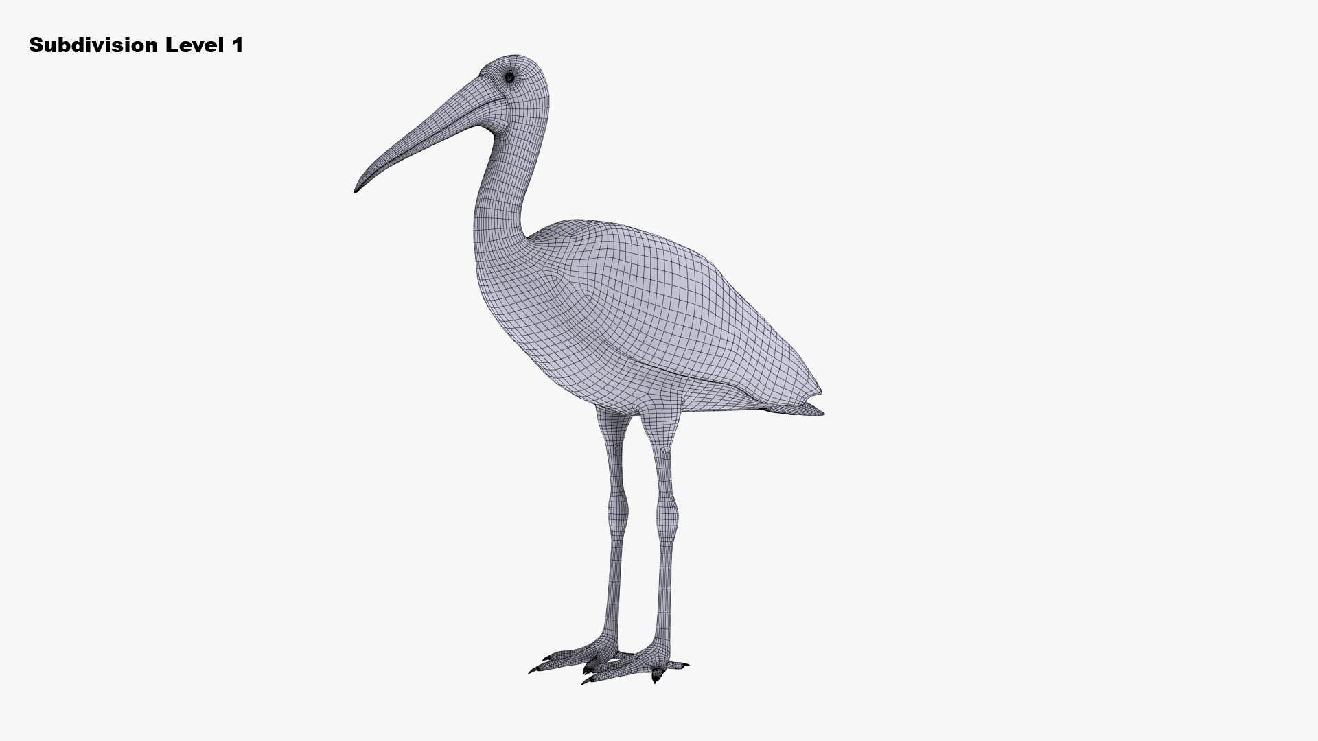Hornbill Stork 3D - TurboSquid 2134298