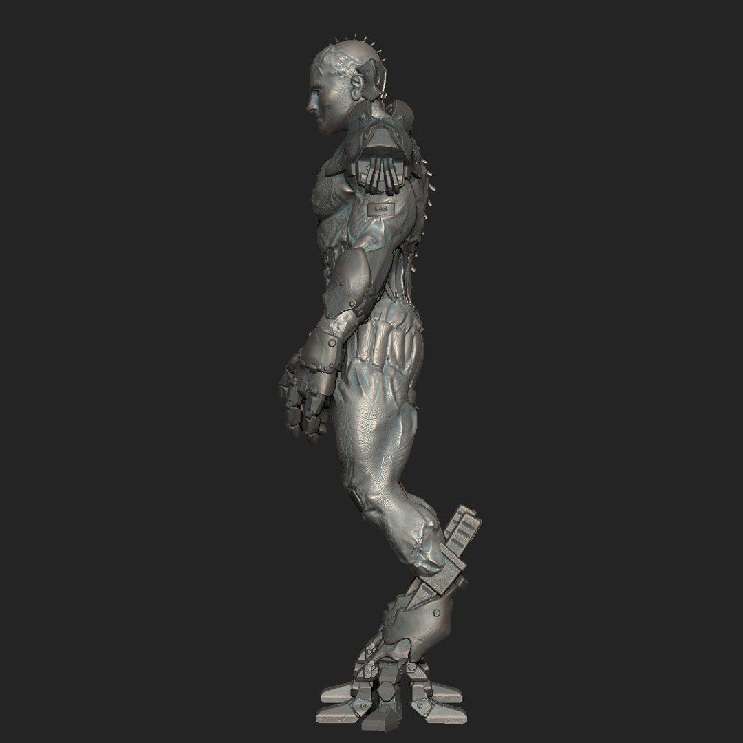 Character Zbrush 3d Model