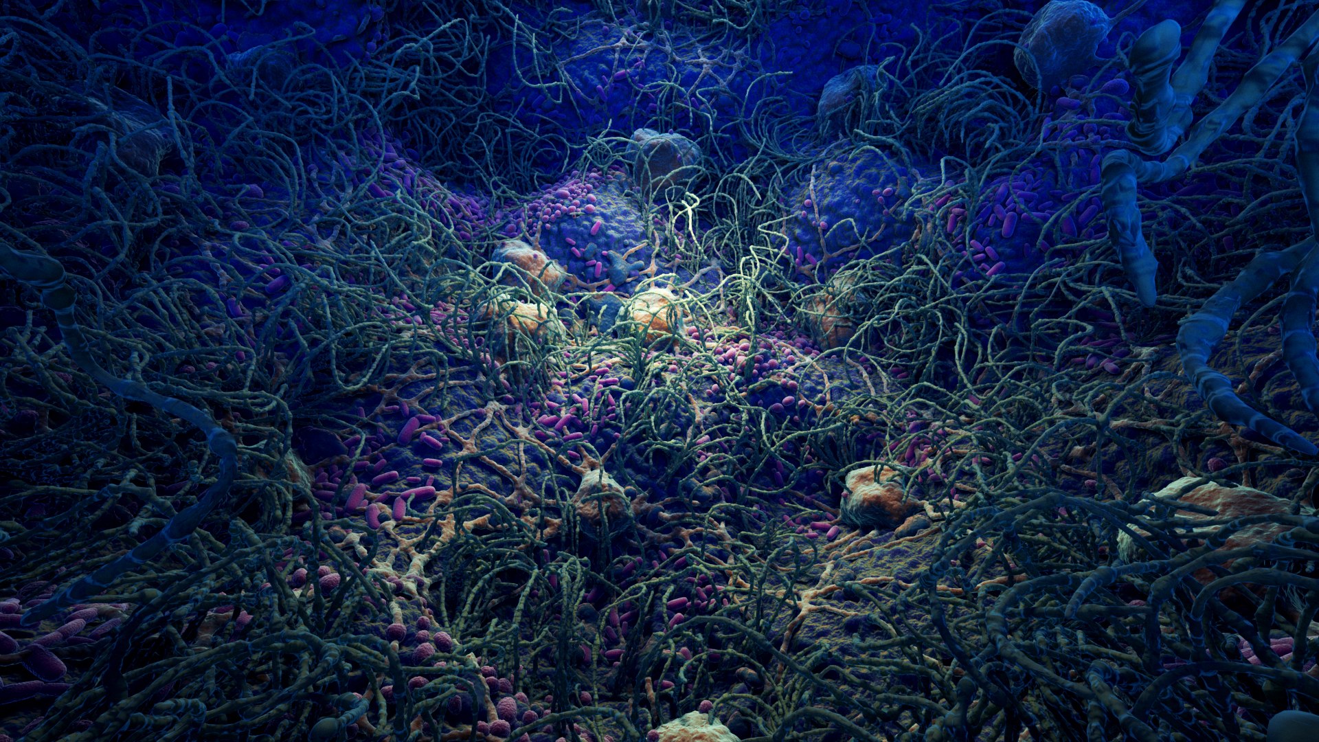 Environment Cells Model - TurboSquid 2055644