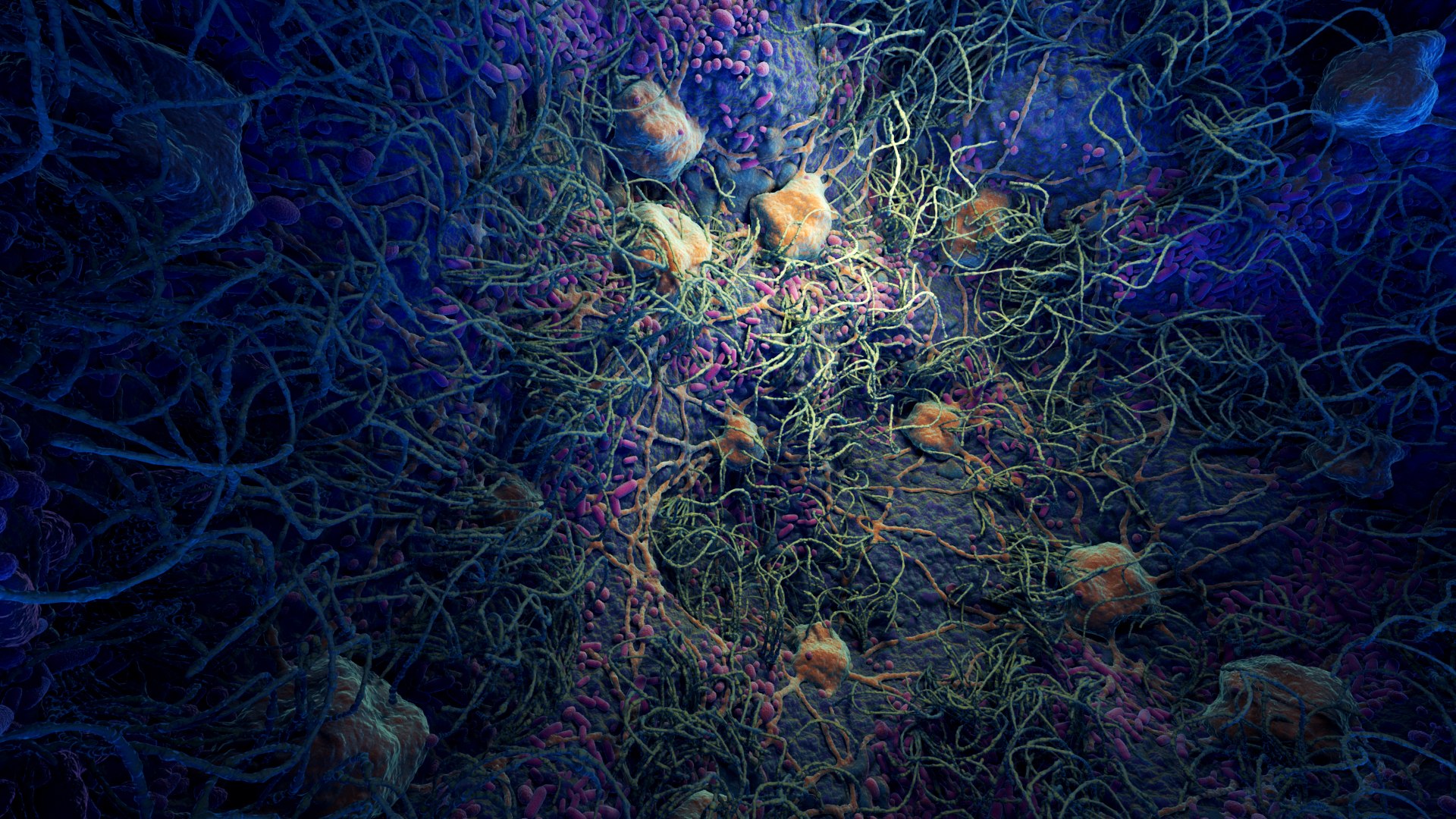 Environment Cells Model - TurboSquid 2055644