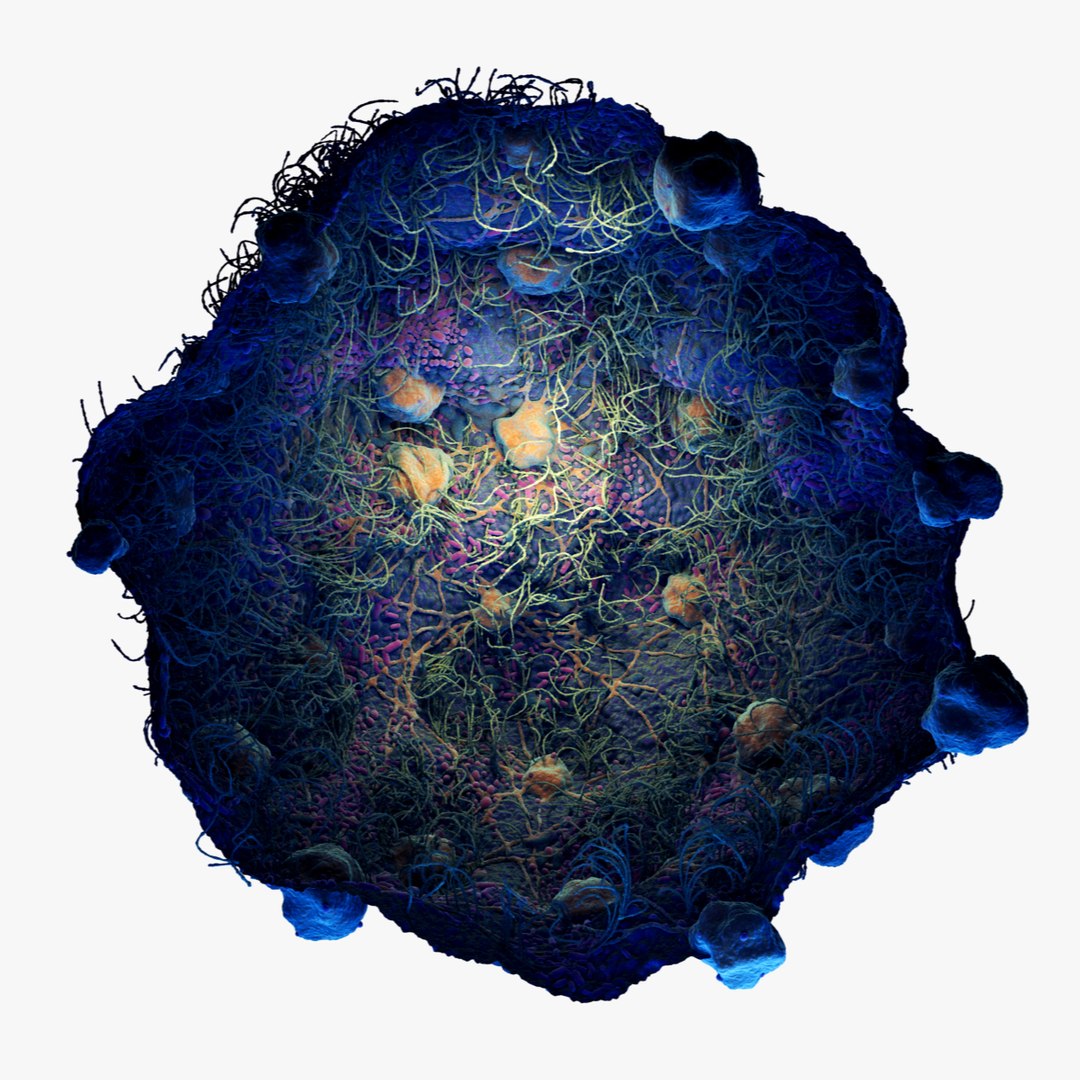 Environment Cells model - TurboSquid 2055644